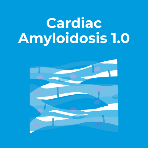 Amyloid Education Series – Session 1: Detecting Cardiac Amyloidosis: A ...